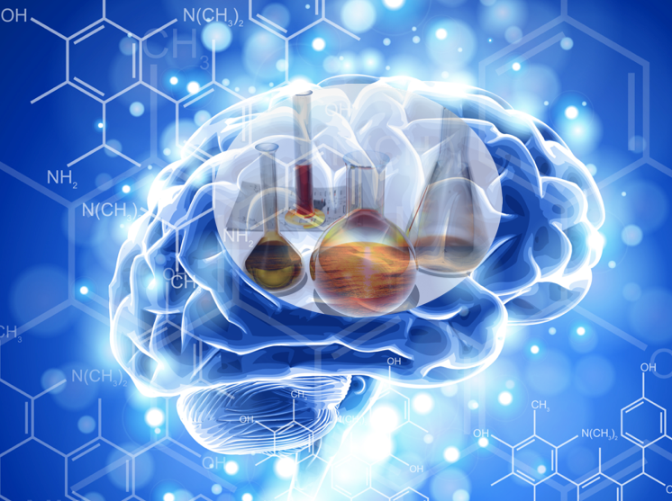 Brain Makes Powerful Chemicals of Relaxation | Feel Good